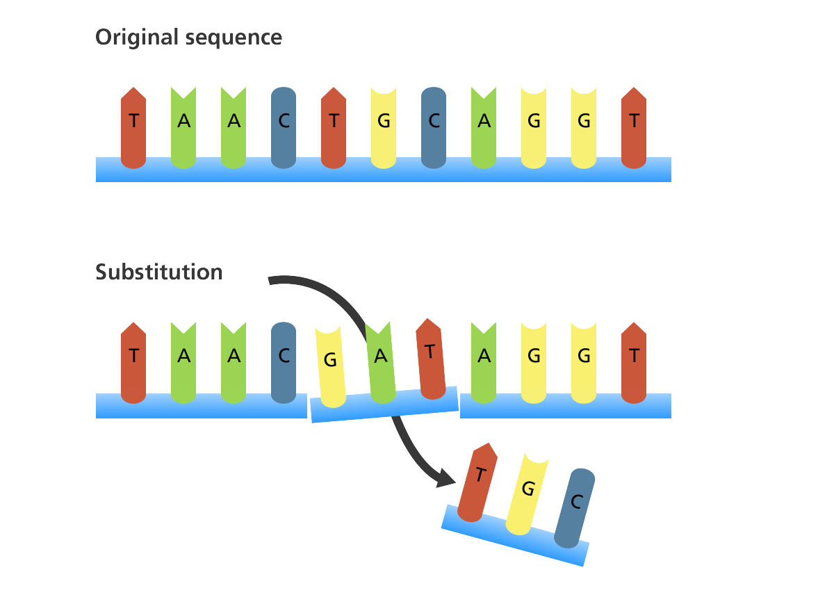 Mutation Mutation